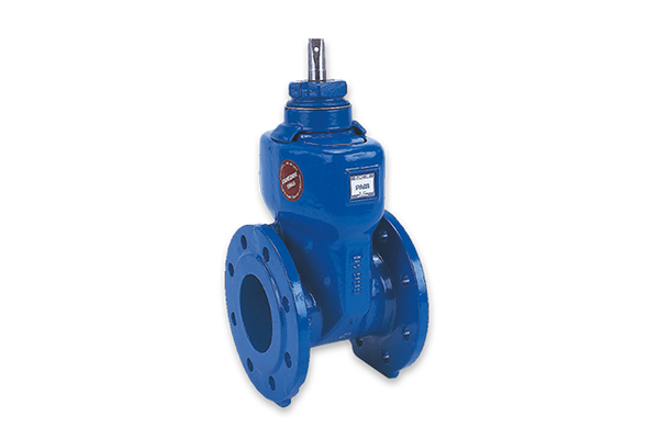 Euro 20 Gate Valves | PAM Saint Gobain