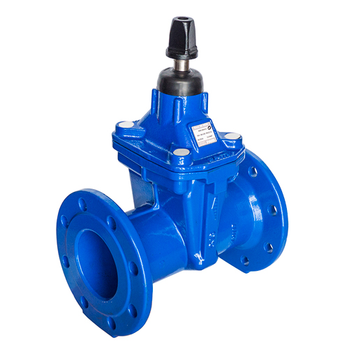 SARACINESCA CORPO OVALE EURO 20 NEW | PAM Saint Gobain